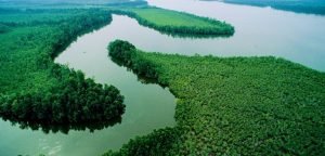 Construction of huge hydroelectric dam on Niger River to begin | Pumps ...